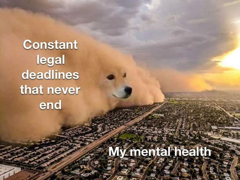 The Lighter Side: Legal Memes We Can’t Stop Thinking About » Appara
