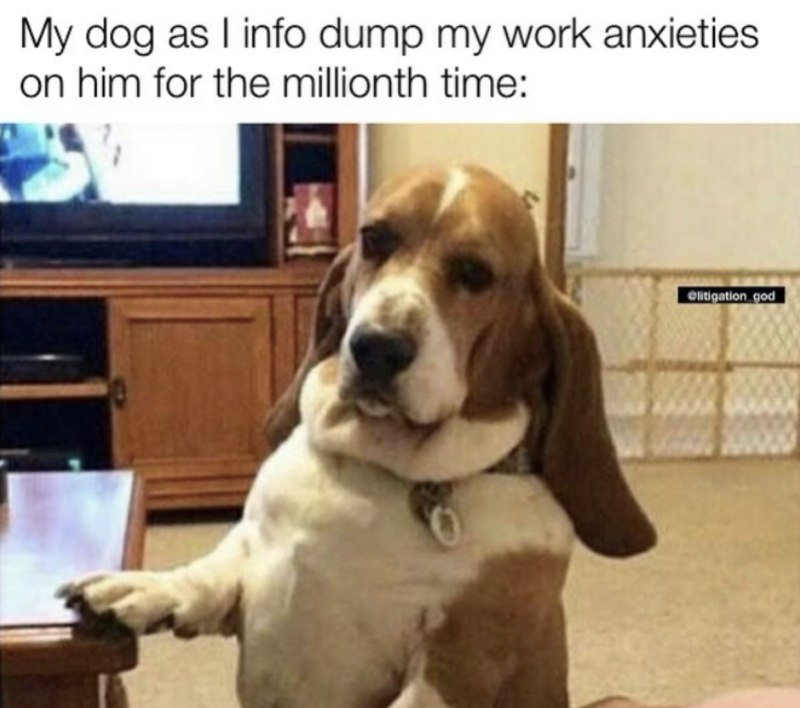 The Lighter Side: Legal Memes We Can’t Stop Thinking About » Appara